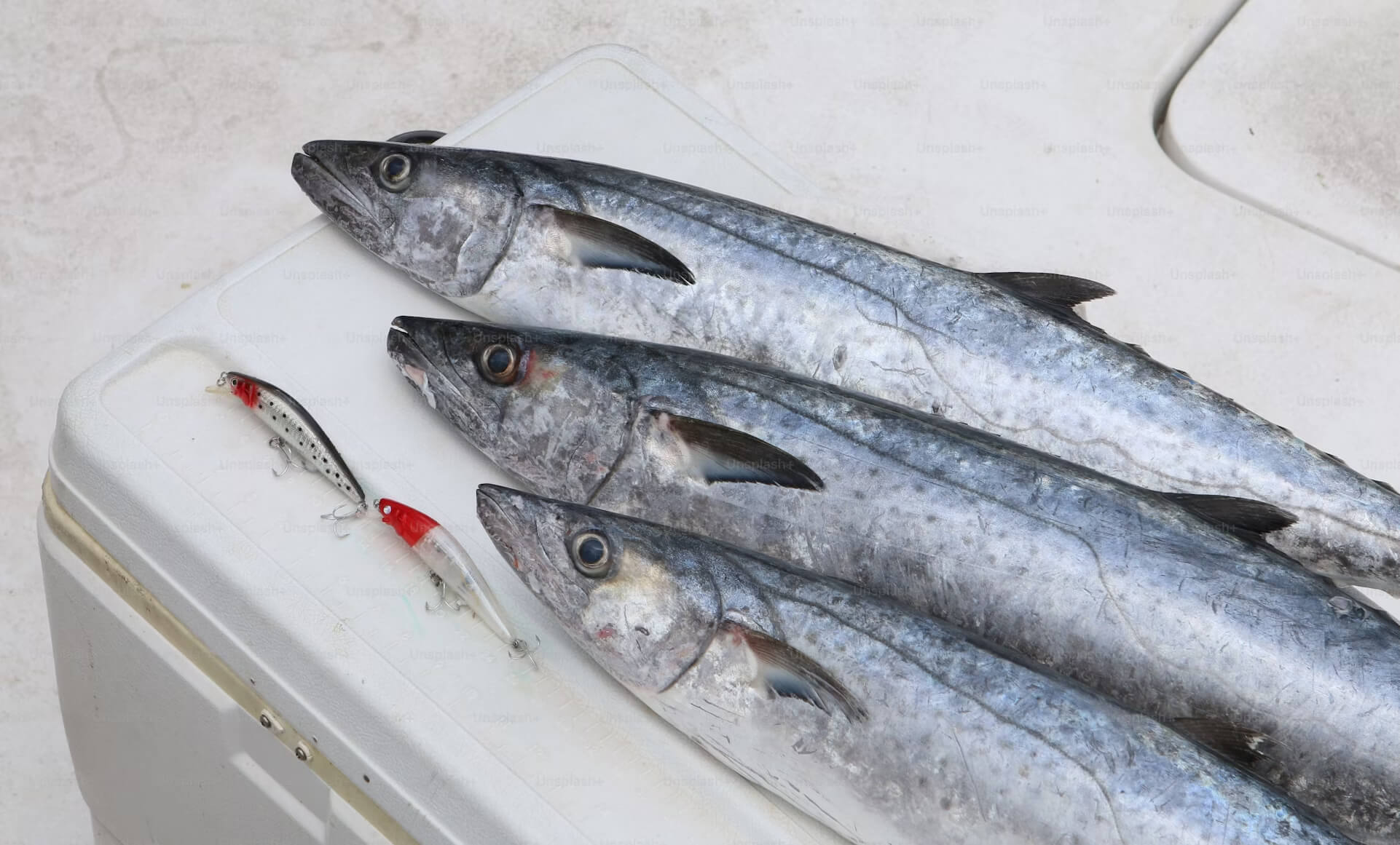 Serangan Phishing dan Pencegahannya - Jonias Fortuna